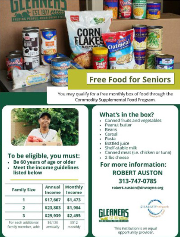 Programs – Disability Network Wayne County Detroit